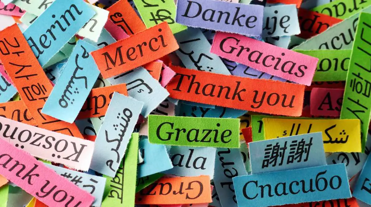 Wedding Thank You Card Wording: 14 Examples - HandsomeWedding